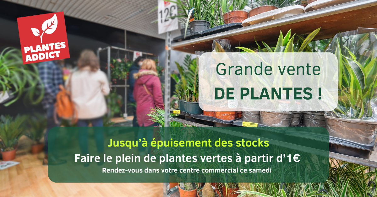 Centre Commercial Carrefour Bourg en Bresse