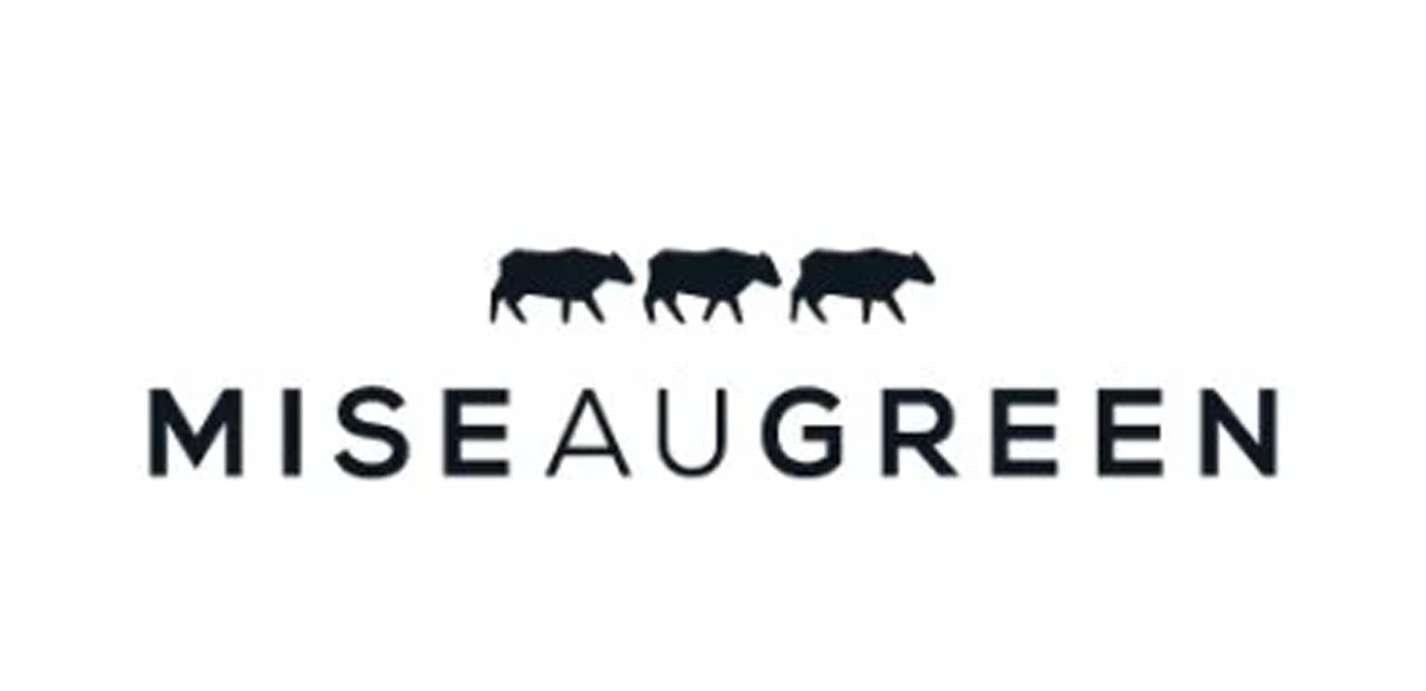 Centre Commercial Haguenau