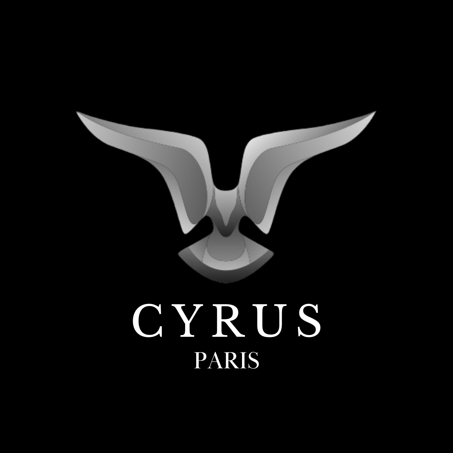 CYRUS - Centre commercial Carrefour Lescar
